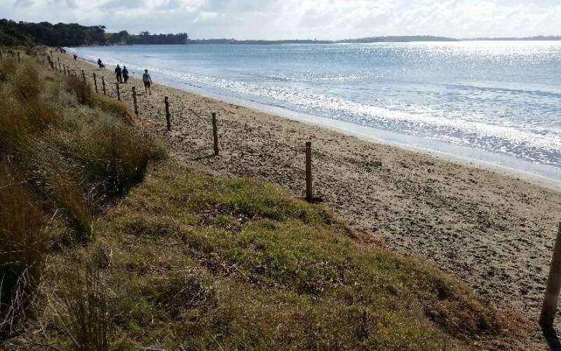 Long Bay Regional Park | Freedom/Basic Camp | New Zealand